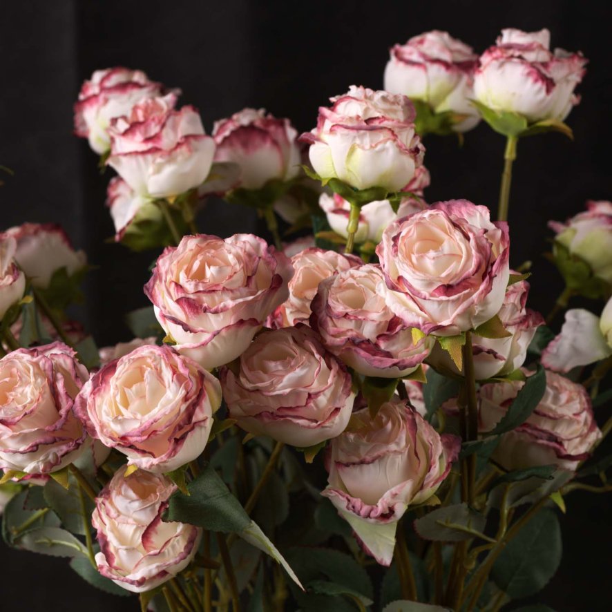 Woods Rose 56cm - Woods Furniture